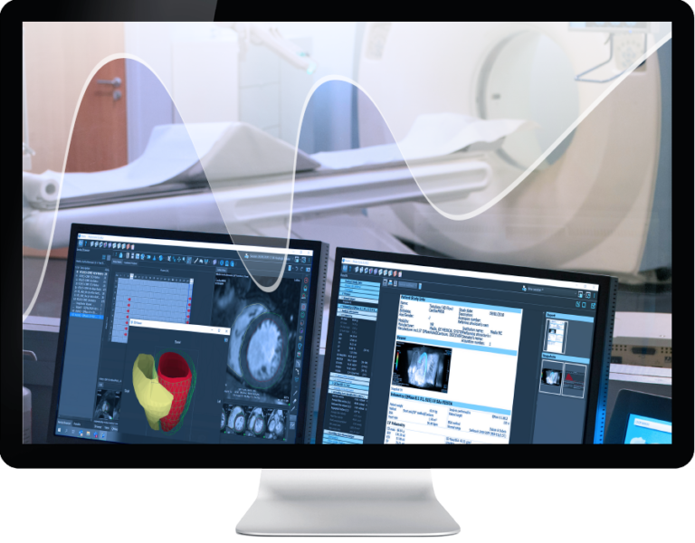 Medis Medical Imaging - Imaging Solutions in a Heartbeat